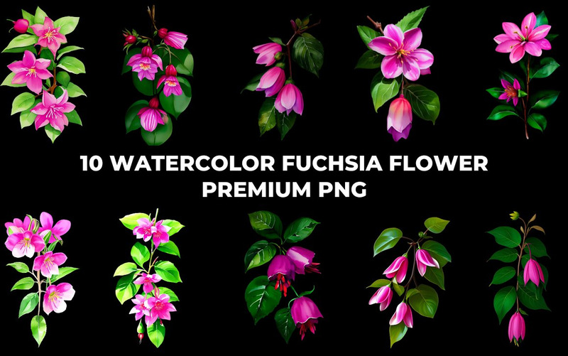 Watercolor Fuchsia Flower PNG Vol.1 #323345 - TemplateMonster