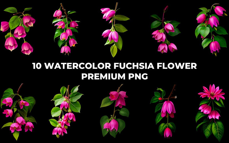 Watercolor Fuchsia Flower PNG Vol.3 #323347 - TemplateMonster