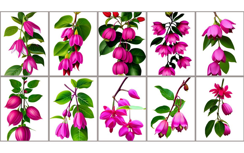 Watercolor Fuchsia Flower PNG Vol.2 #323346 - TemplateMonster