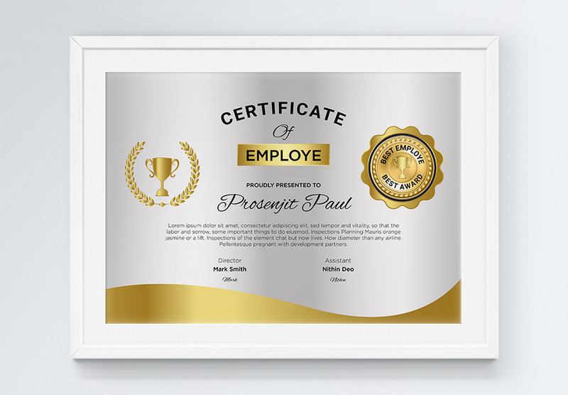 Silver Certificate Of Employee #207794 - TemplateMonster