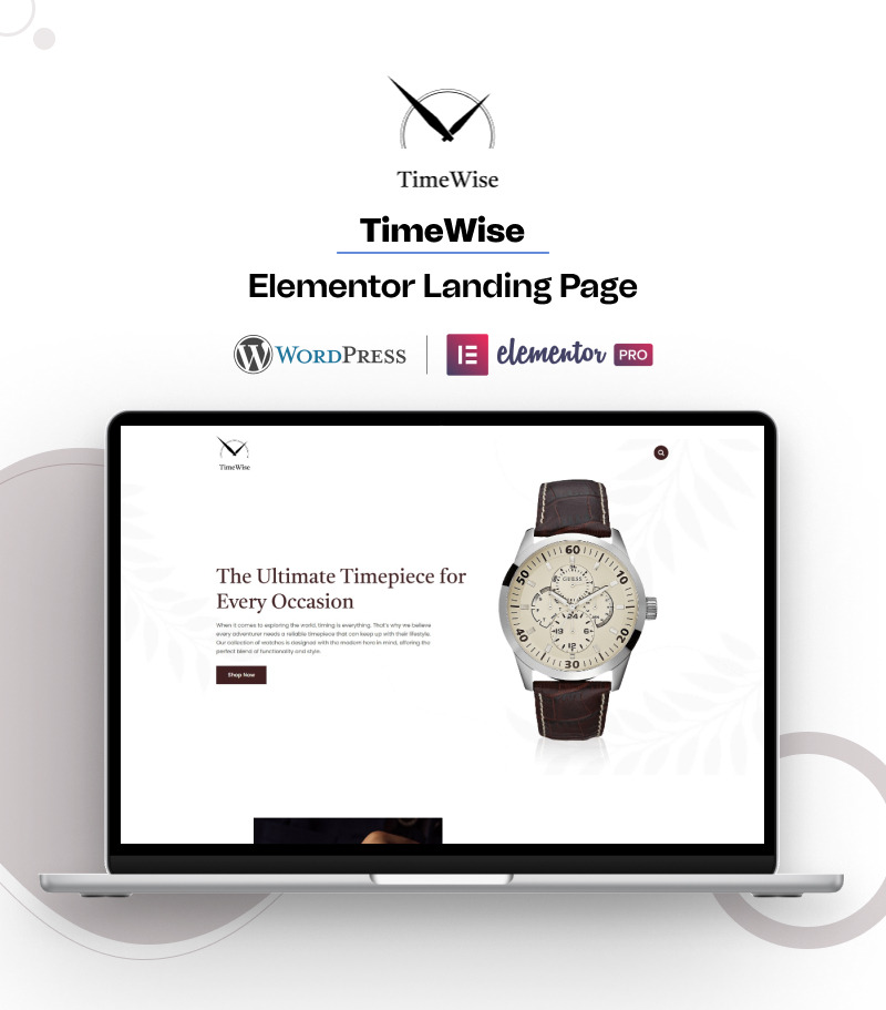 TimeWise - Watch store and Repair Service Elementor Landing page