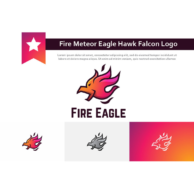 Fire Flame Comet Meteor Burn Eagle Hawk Falcon Logo
