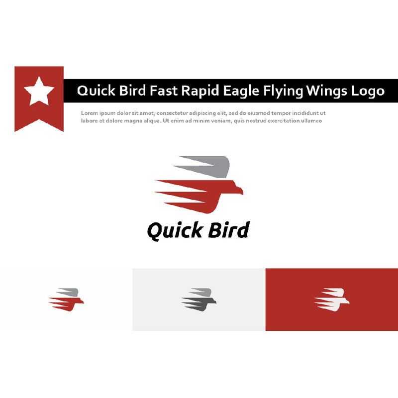 Quick Bird Fast Rapid Eagle Flying Wings Logo