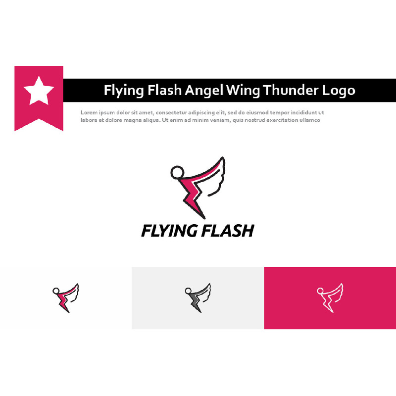 Flying Flash Angel Wing Thunder Power Energy Logo