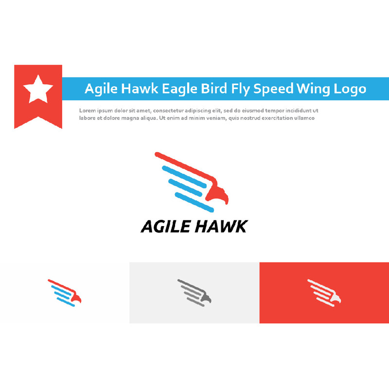 Agile Hawk Eagle Bird Fly Speed Wing Logotipo simple