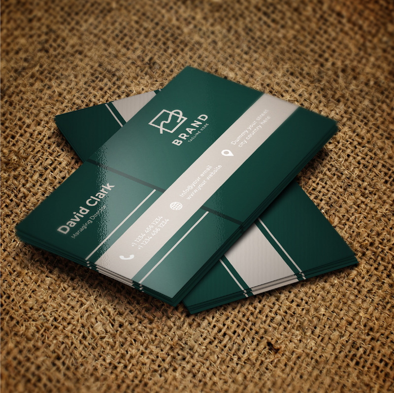 Multipurpose Business Card | Volume: 49 - TemplateMonster
