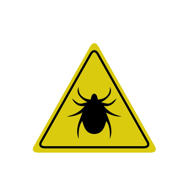 Ticks. Tick warning sign. Attention ticks. Mite.