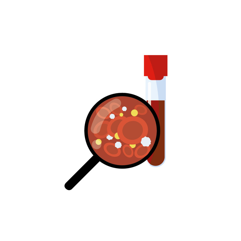Composition of blood. Platelets, red and white blood cells