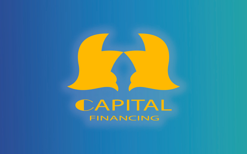 Capital Financing Logo Golden Birds Logo - TemplateMonster