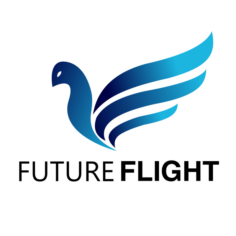 Creative Airplane Logo Design #299293 - TemplateMonster