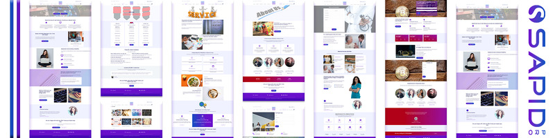 Sapid Pro Multipurpose WordPress Theme - TemplateMonster