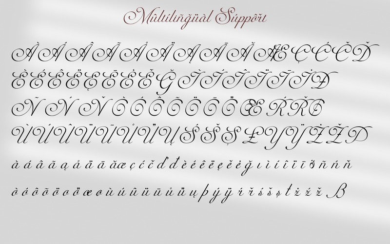 Kalina - Guión de caligrafía #297649 - TemplateMonster