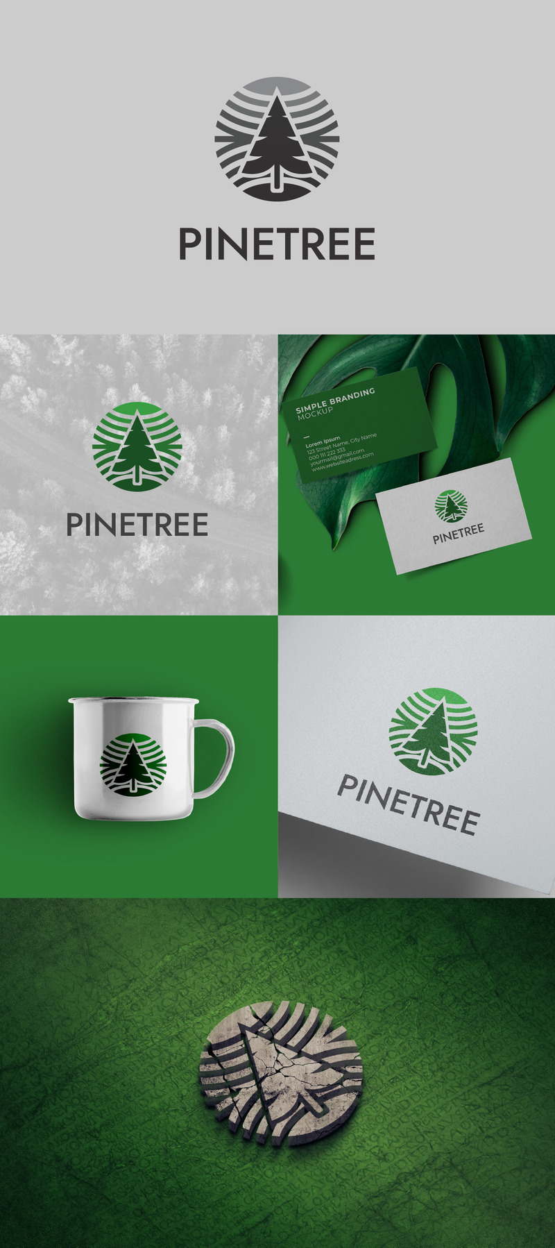 Pine tree circle natural logo design template