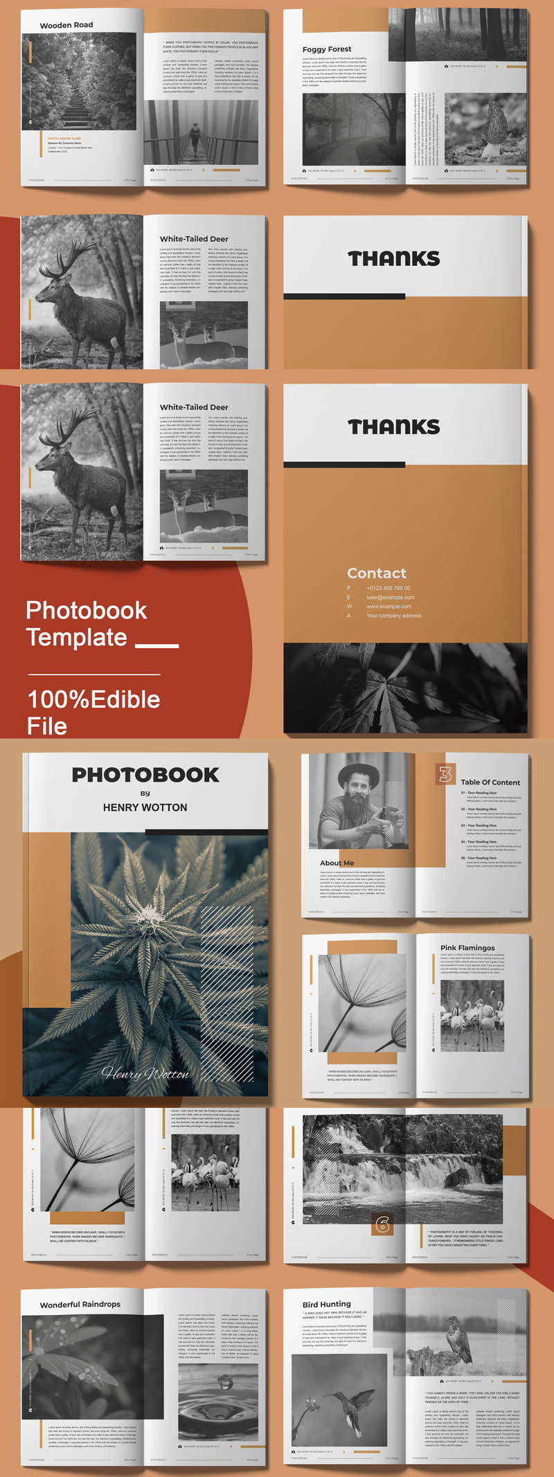 Modèle de portfolio de livre photo #375752 - TemplateMonster