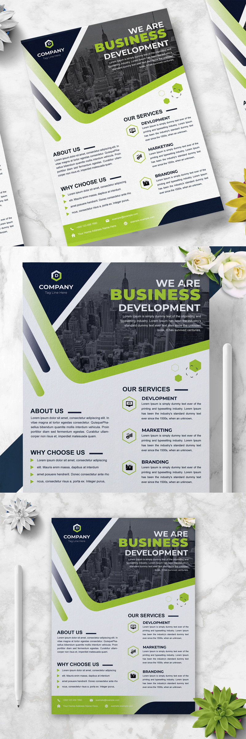 Business pro Flyer Template Layout #373661 - TemplateMonster