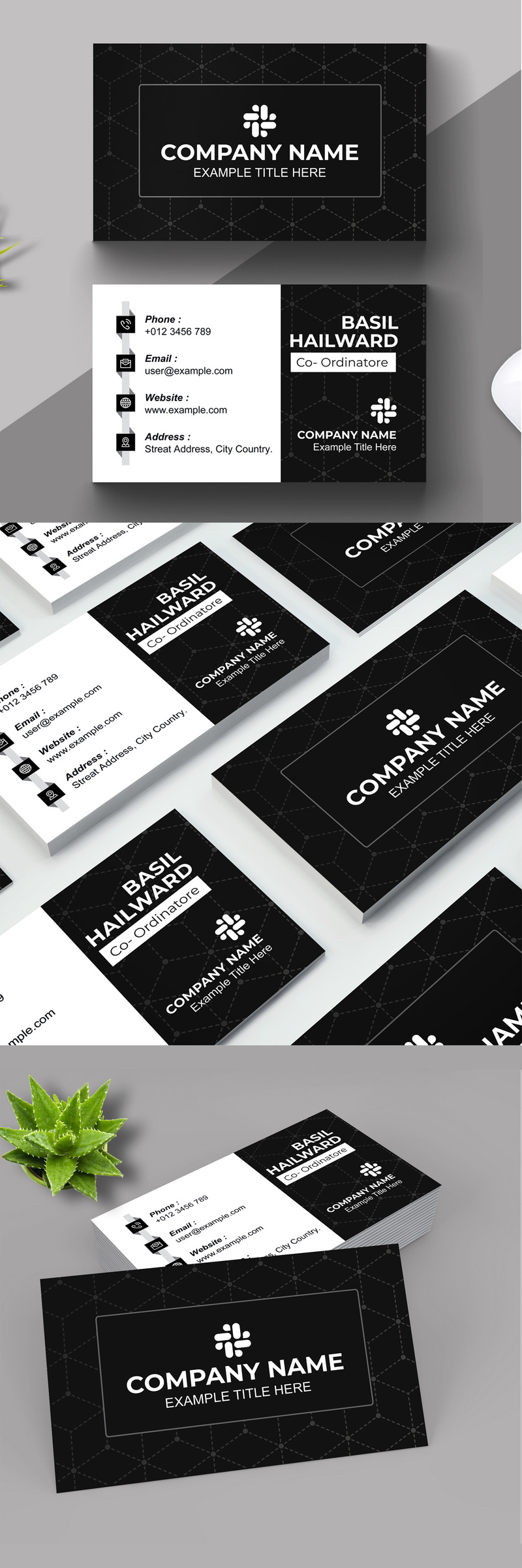 Creative & Minimal Business Card - TemplateMonster