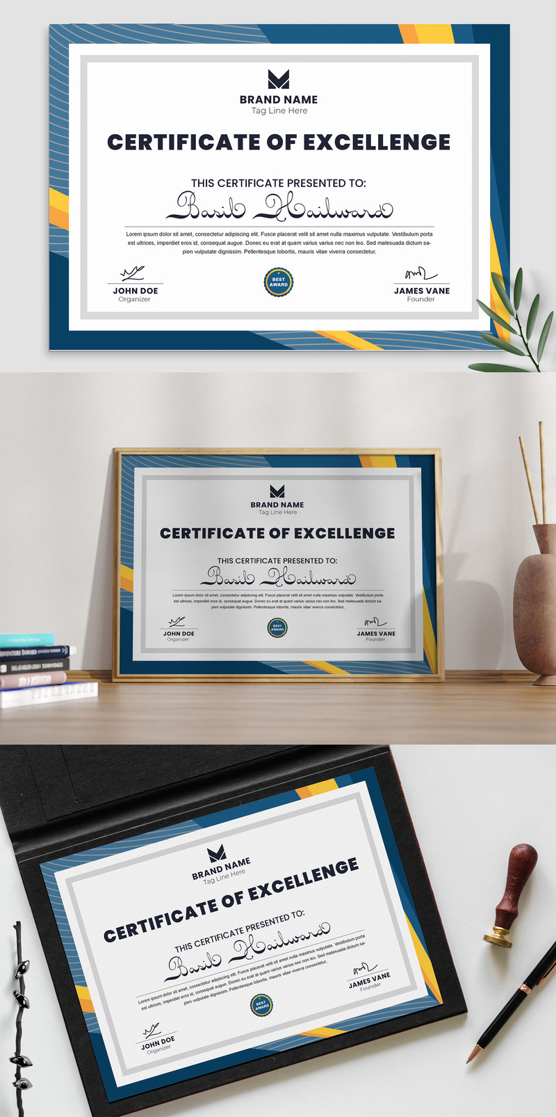 Certificates of Excellence #375657 - TemplateMonster