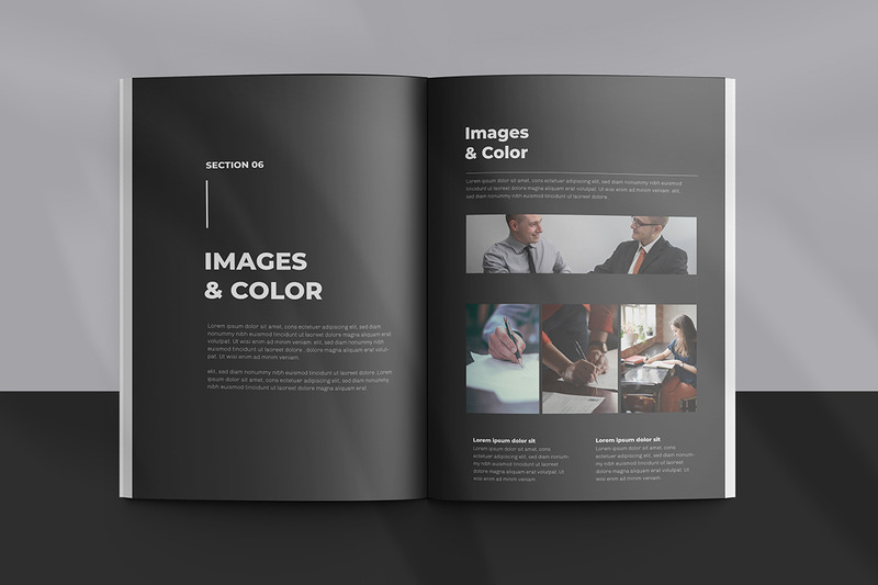 Brand Logo Guidelines Template #344227 - TemplateMonster