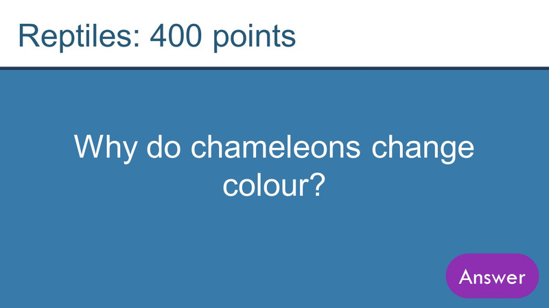 Jeopardy Style PowerPoint Game #329017 - TemplateMonster