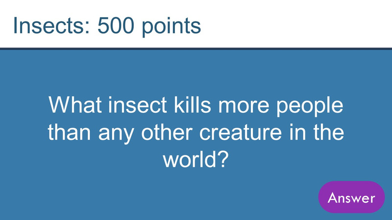 Jeopardy Style PowerPoint Game #329017 - TemplateMonster