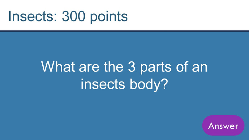 Jeopardy Style PowerPoint Game #329017 - TemplateMonster