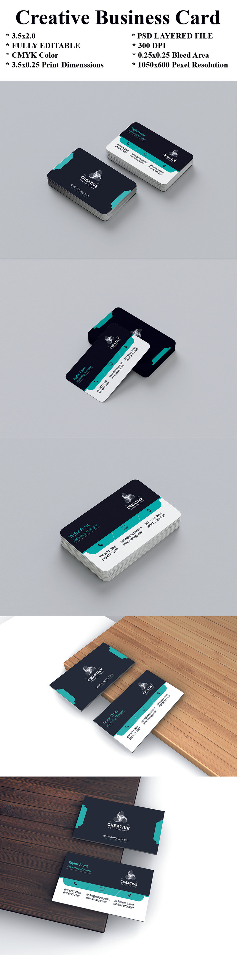Stunning Business Card - Visiting Card - TemplateMonster