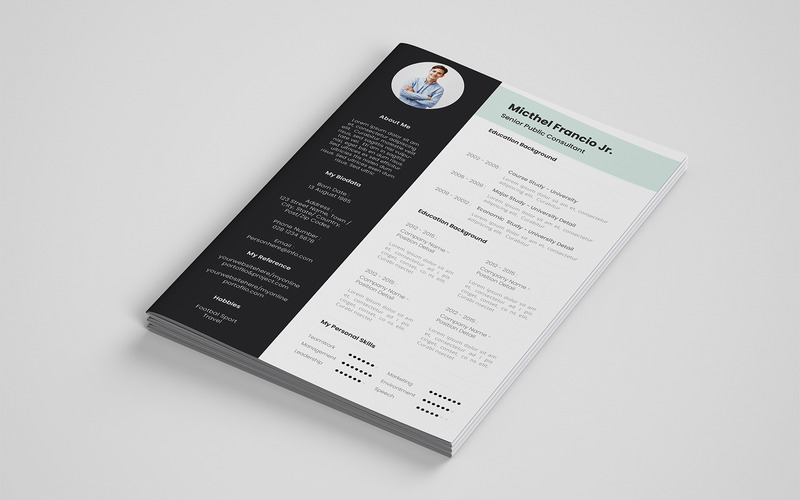 Clean Meta CV | ResumeTemplate #375278 - TemplateMonster