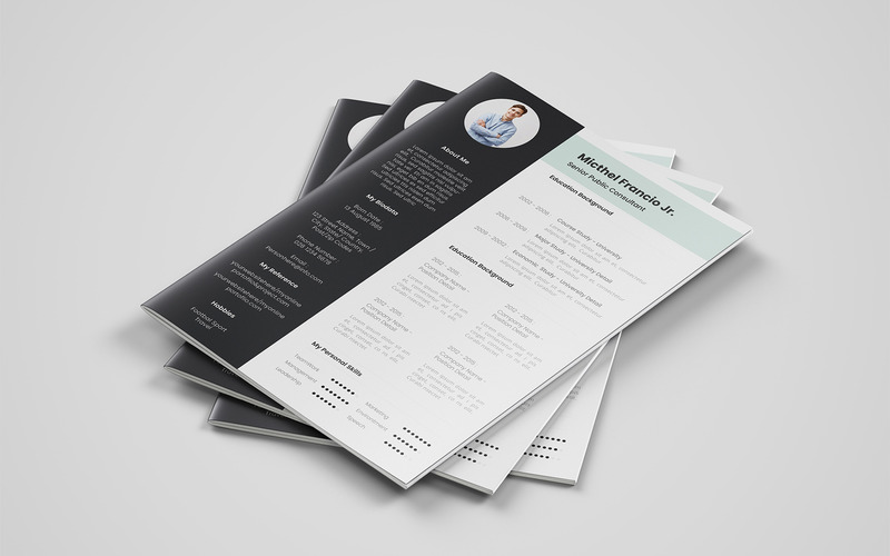 Clean Meta CV | ResumeTemplate #375278 - TemplateMonster