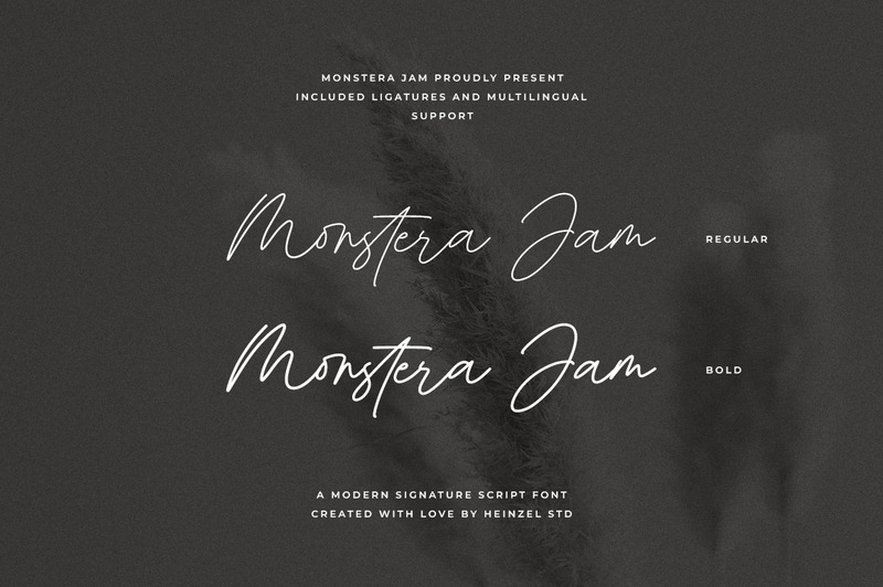 Monstera Jam Modern Signature Font #421650 - TemplateMonster