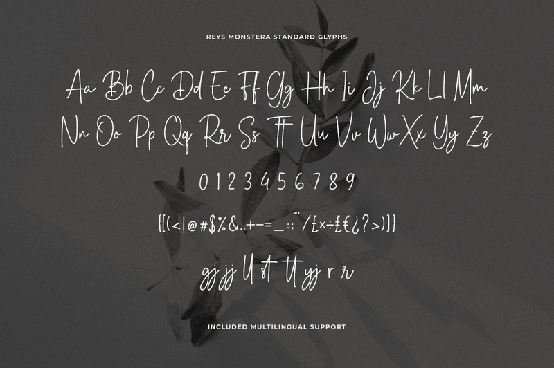 Reys Monstera Signature Font #422583 - TemplateMonster