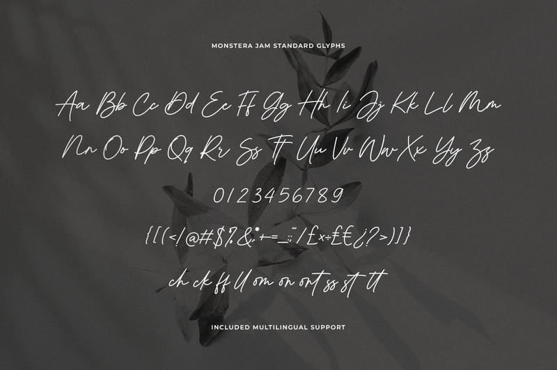Monstera Jam Modern Signature Font #421650 - TemplateMonster
