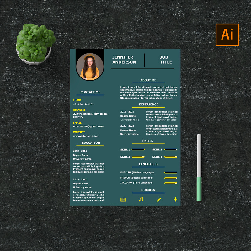 Professional / modern resume template - TemplateMonster
