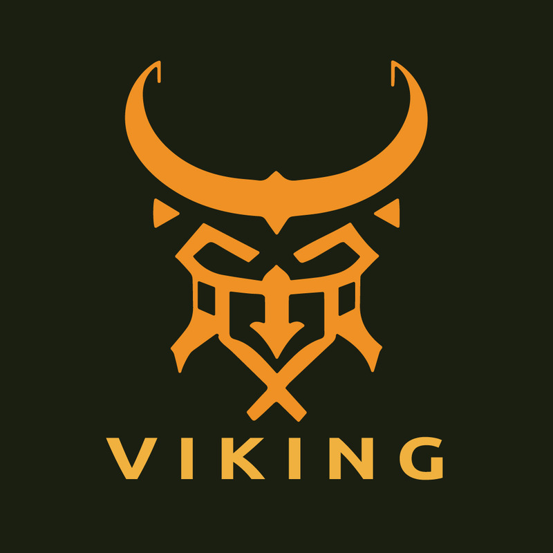 Viking Logo Design Template V12 #386463 - TemplateMonster