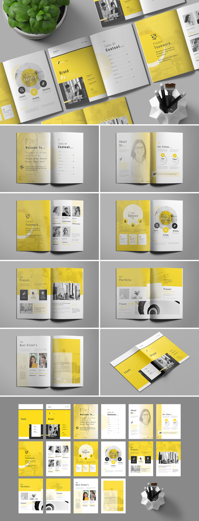 Brand Profile Template - (InDesign) #430987 - TemplateMonster