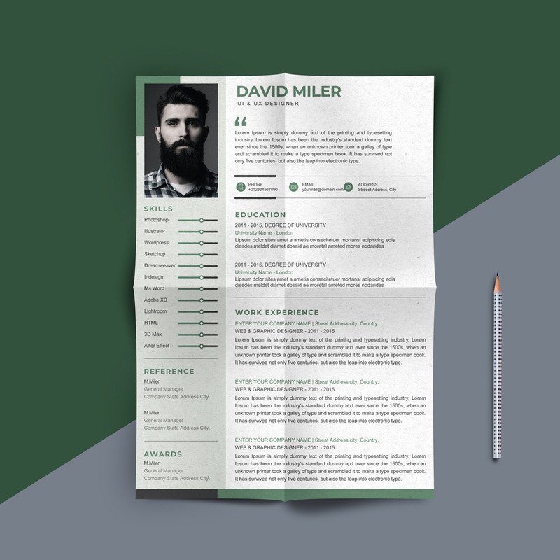 David Miler - CV Template Design Printable Resume Templates
