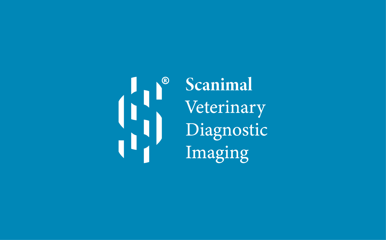 Medical Imaging Logo Template